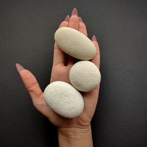 Large White Beach Stones Bulk, Lot 6-12, 1 3/4''- 2 1/4'' Genuine Flat ...