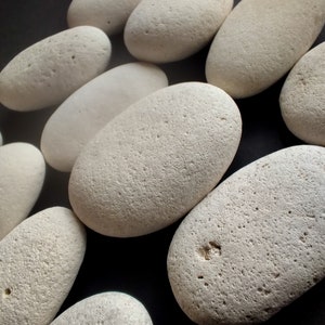 Large White Beach Stones Bulk, Lot 6-12, 1 3/4''- 2 1/4'' Genuine Flat ...