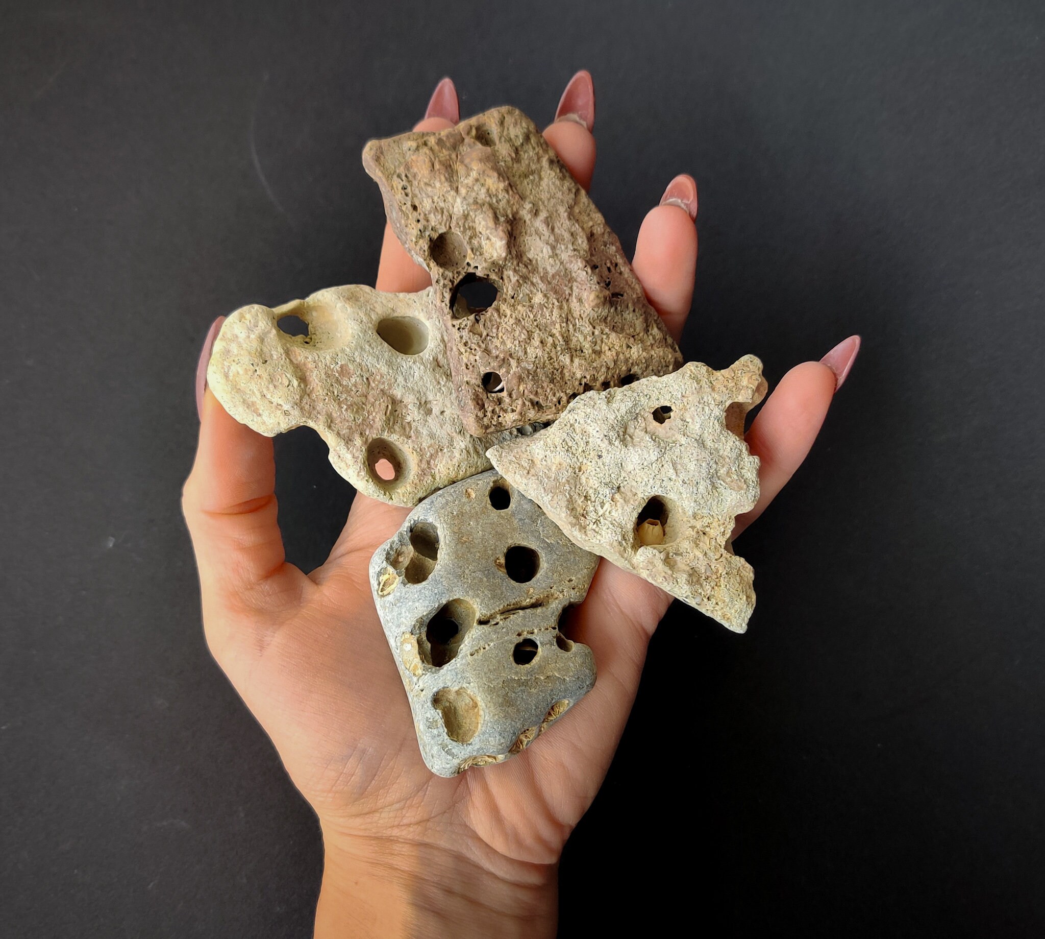 Large Hag Stones Bulk Lot 4-10 2'' 3 1/2'' - Etsy