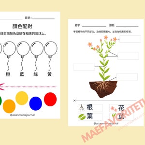 Mandarin Chinese Preschool Pre-k + Kindergarten Learning Bundle | 50 ...