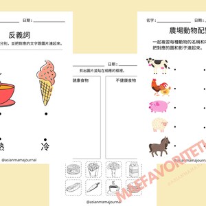 Mandarin Chinese Preschool Pre-k + Kindergarten Learning Bundle | 50 ...