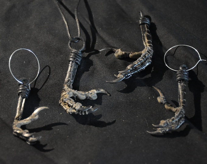 Four Genuine English Carrion Crow Feet With a Few Crow Feathers - Etsy