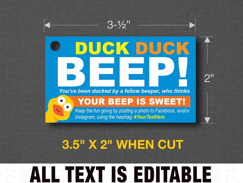 16 Editable Duck Duck Tags for Ducks / Ducking Tags. Instantly Download ...
