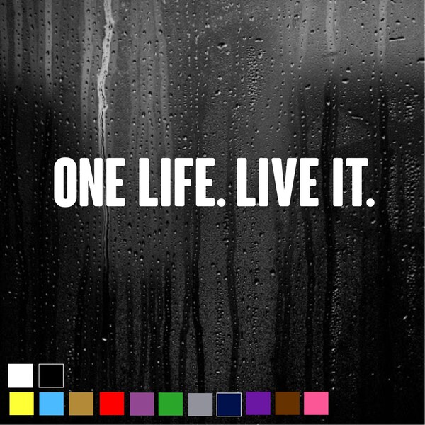 One Life Live It Sticker - Etsy