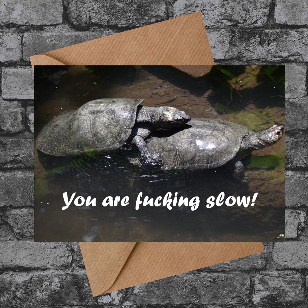 Turtles Slow Funny Rude Birthday Valentine Day Card Boy Girl Friend ...