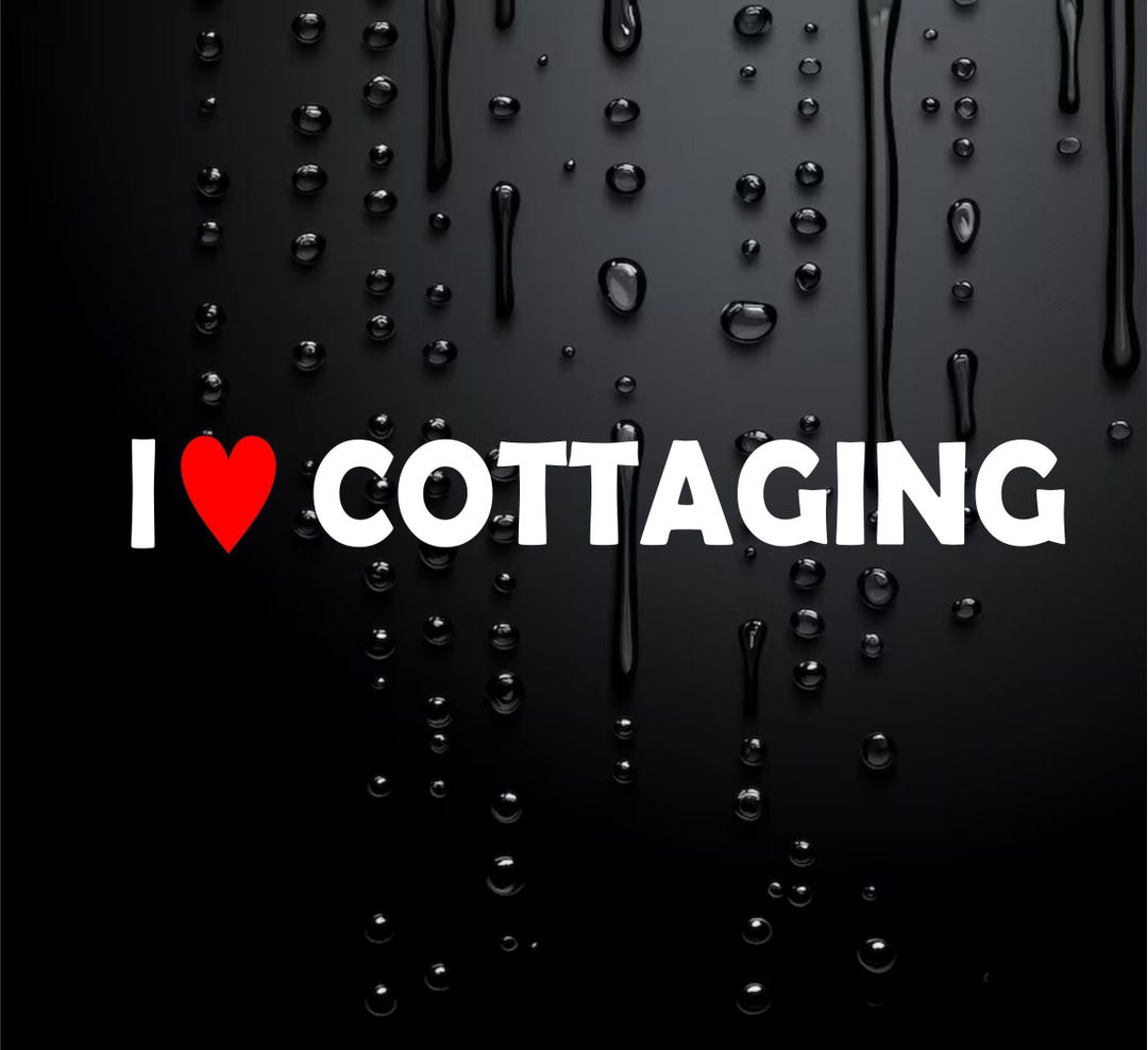 Funny Car Sticker Caravan Sticker 4X4 Rude Prank Sticker I Love ...