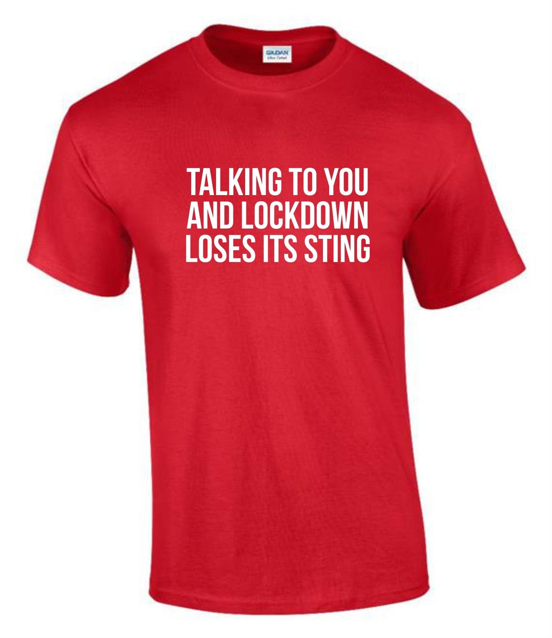 Talking to You Lockdown Loses It Gift Idea Funny Rude Men’s Lady's T ...