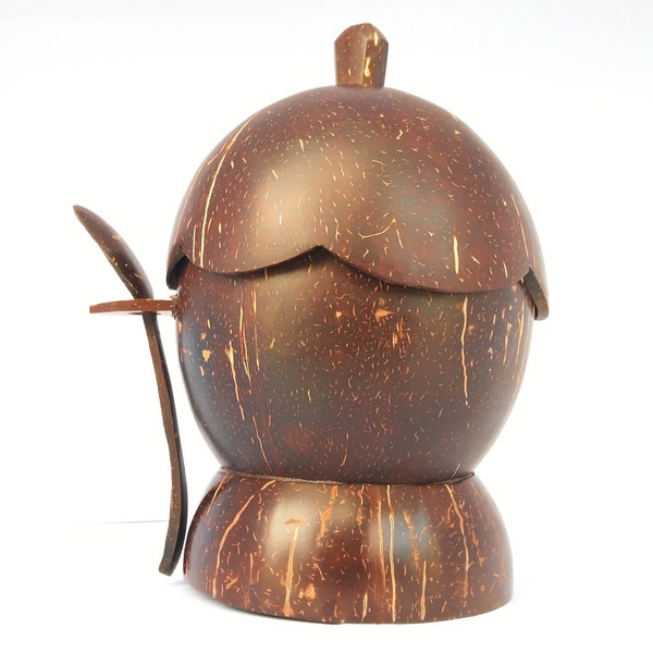 Shell Container - Etsy