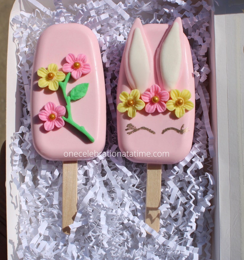 Easter Bunny & Floral Themed Cakesicles Easter Cakesicles - Etsy