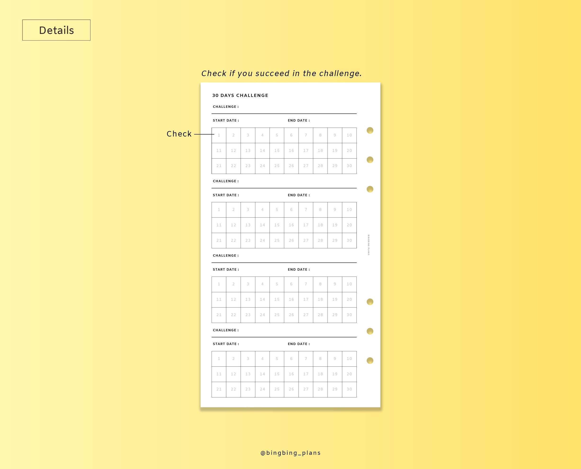 30 Day Challenge Tracker Printable Planner Inserts, Challenge Sheet ...