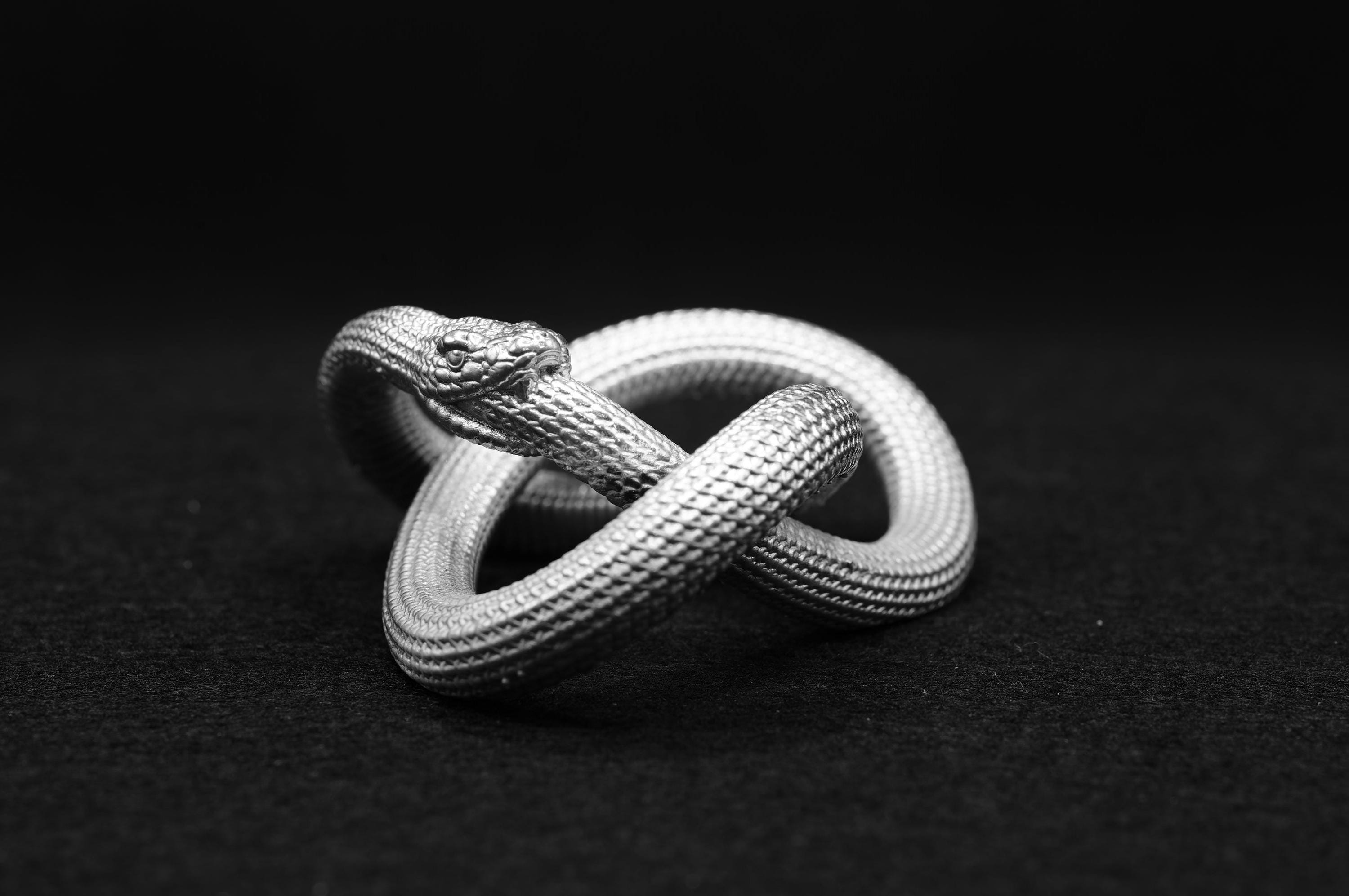 1oz Limited Viking Ouroboros Snake Hand Poured 999 Fine Silver Statue ...