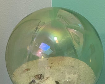 Seashell Desk Sea Glass - Etsy