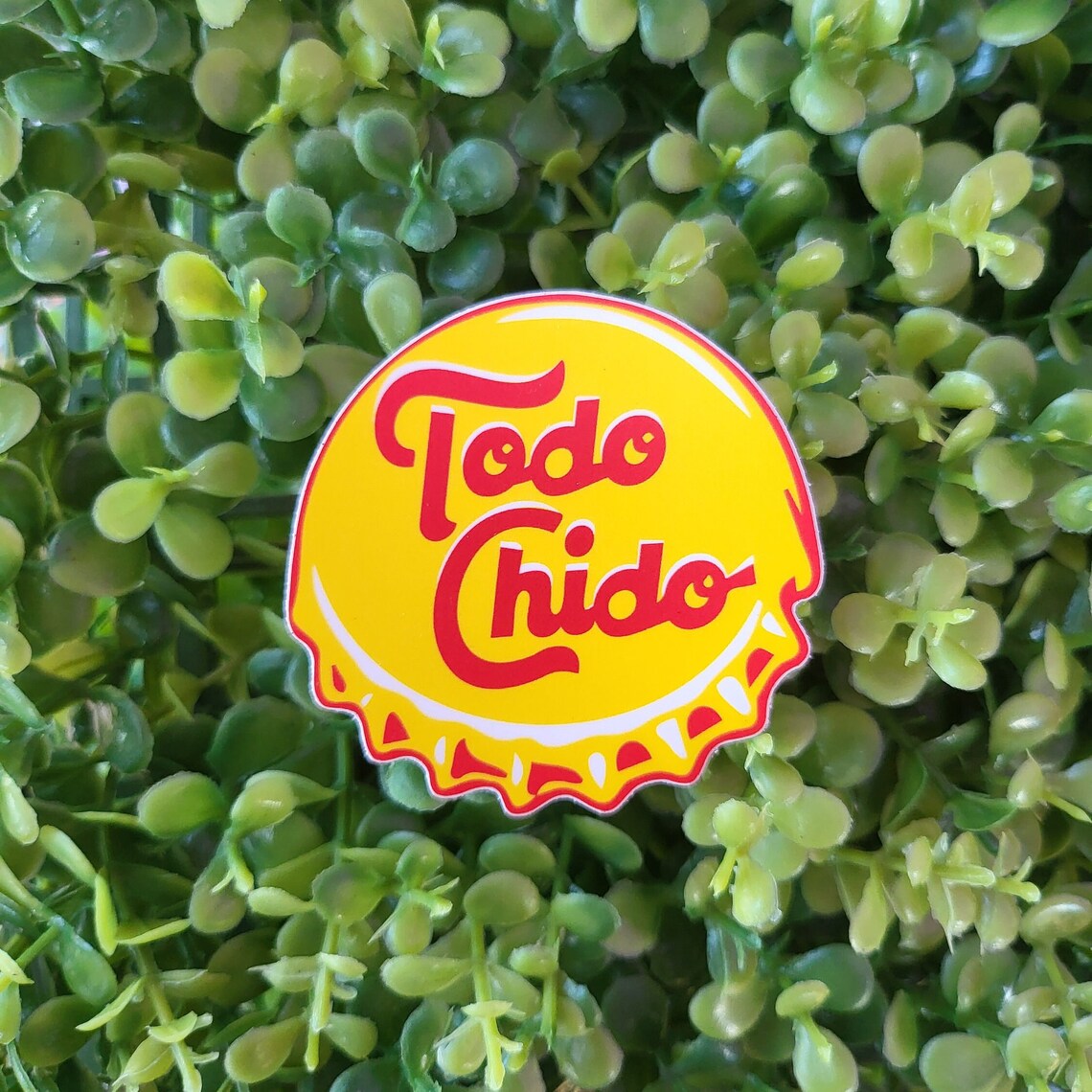 Todo Chido Topo Chico Sticker 2.5in Bottle Cap Vinyl Decal - Etsy