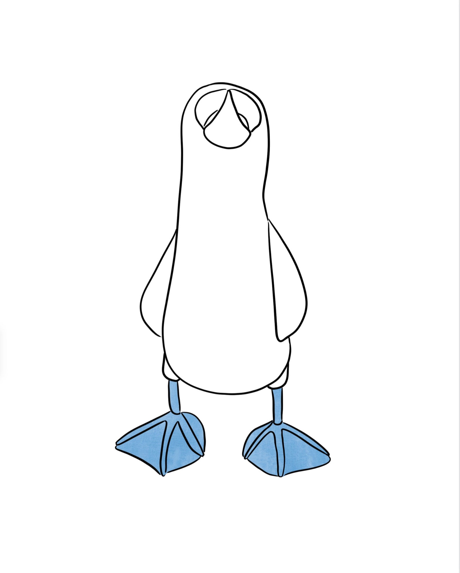 Minimalist Line Art Blue Footed Booby Bird Drawing | Digital Download ...