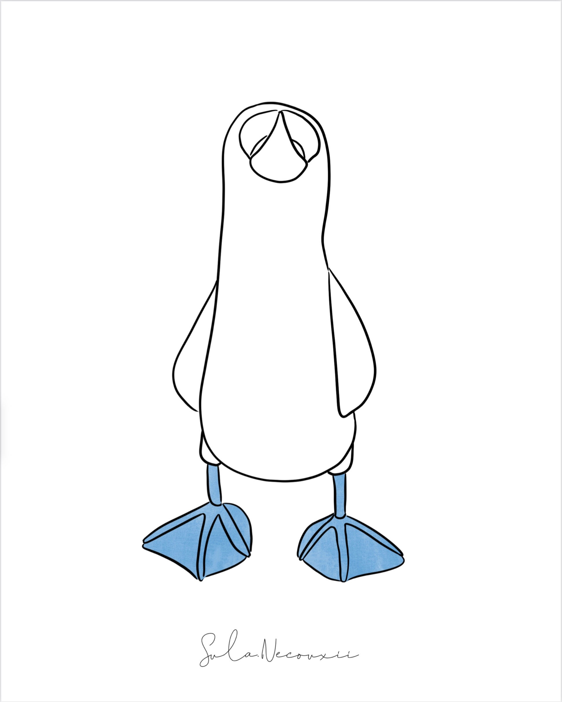 Minimalist Line Art Blue Footed Booby Bird Drawing | Digital Download ...