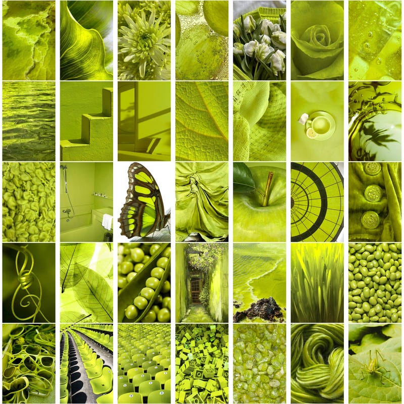 Chartreuse Decor - Etsy