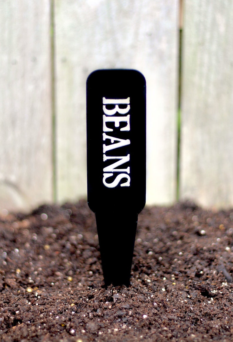 Metal Garden Stake for Vegetables Vegetable Name Tags Spring | Etsy