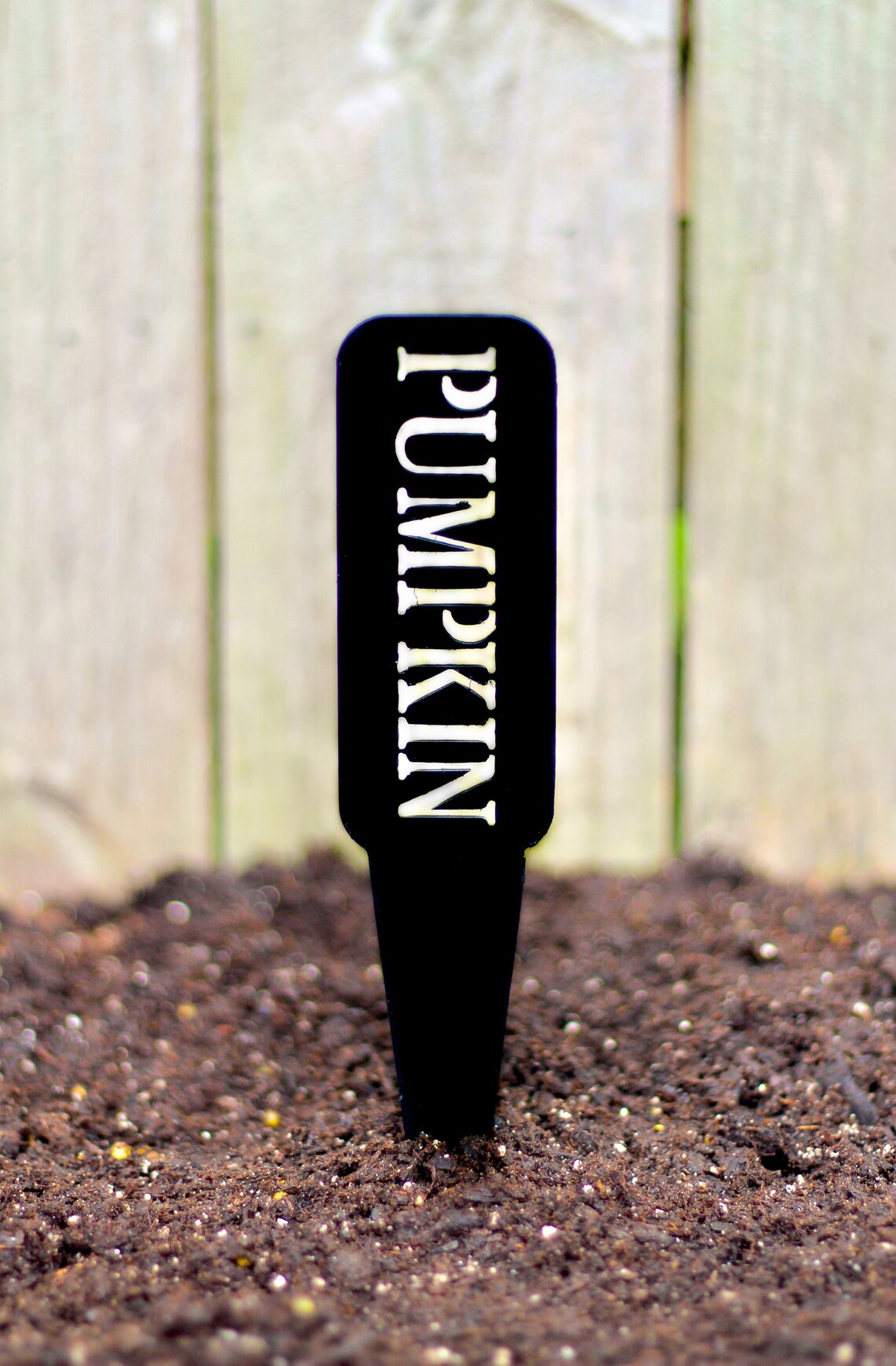 Metal Garden Stake for Vegetables Vegetable Name Tags Spring | Etsy