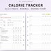 Calorie Tracker A6 Inserts Printable, Food Diary Journal Template ...