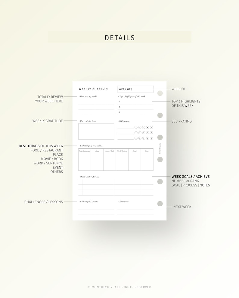 Weekly Review Pocket Planner Inserts Printable Week Reflection Journal, Daily Gratitude Diary ...