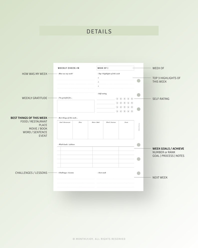 Weekly Review Printable Personal Wide Inserts, Mindfulness Weekly ...
