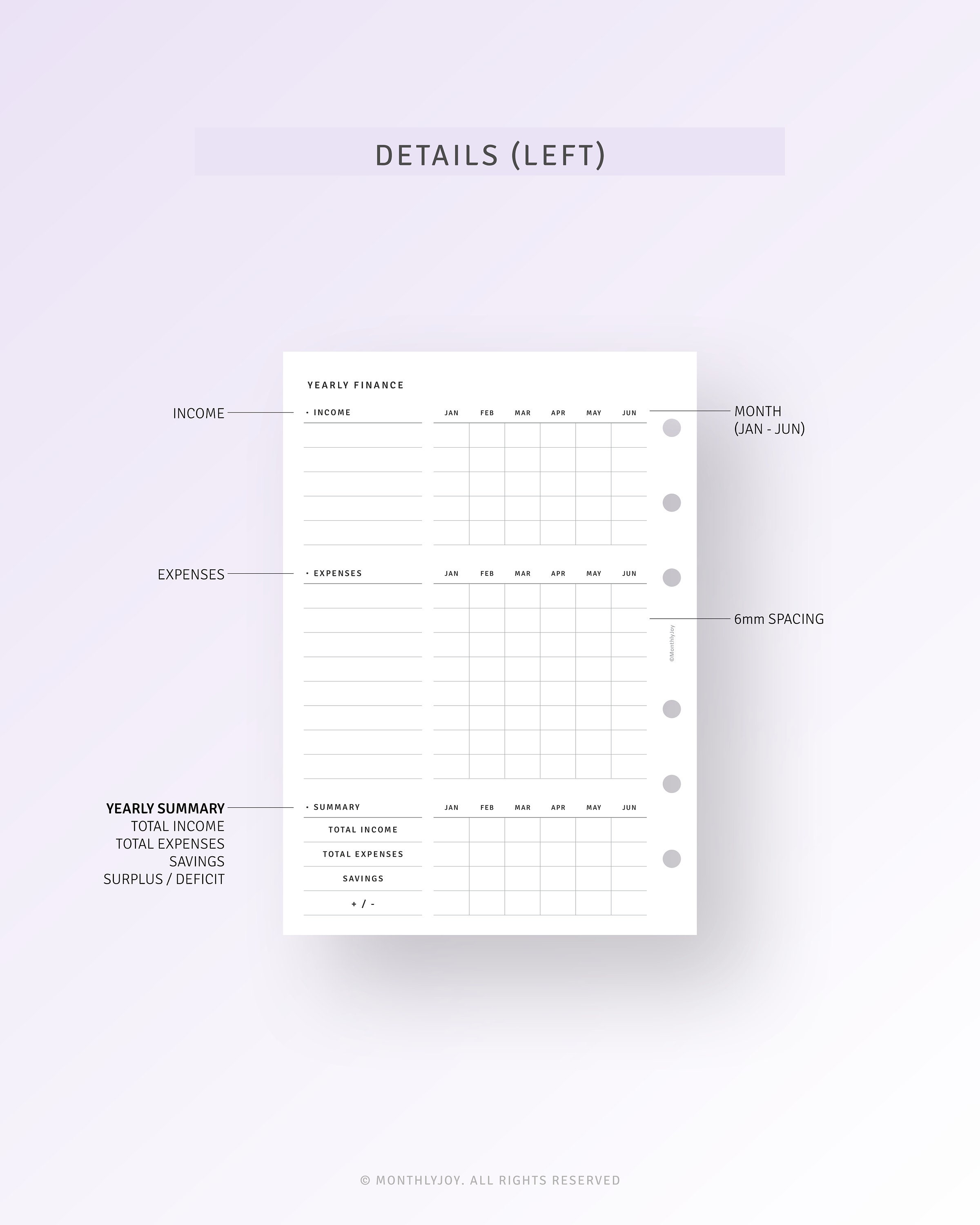 Yearly Finance Overview Planner Printable Bill Organizer, Income ...