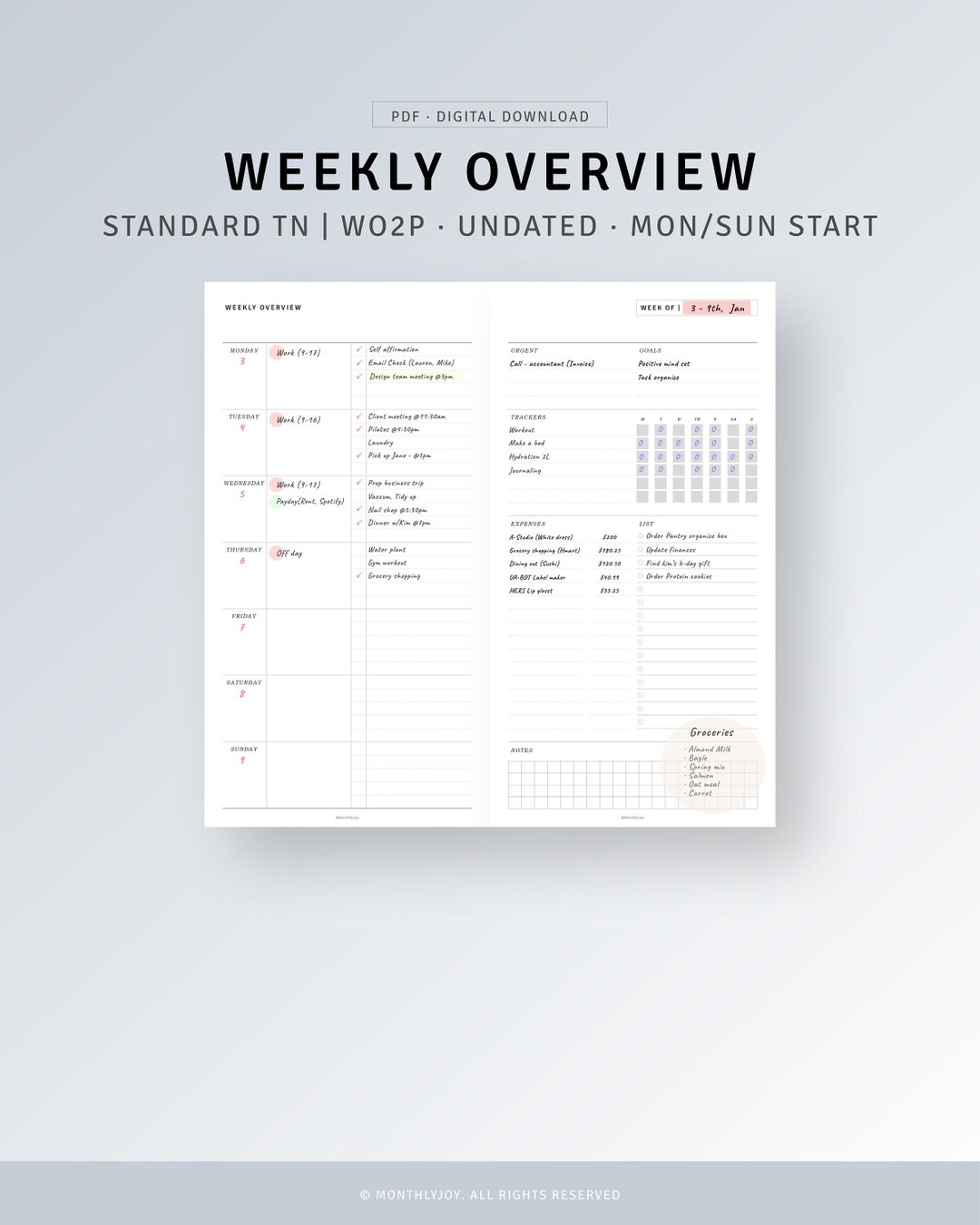 Weekly Overview Template TN Standard Inserts Printable Undated Weekly ...