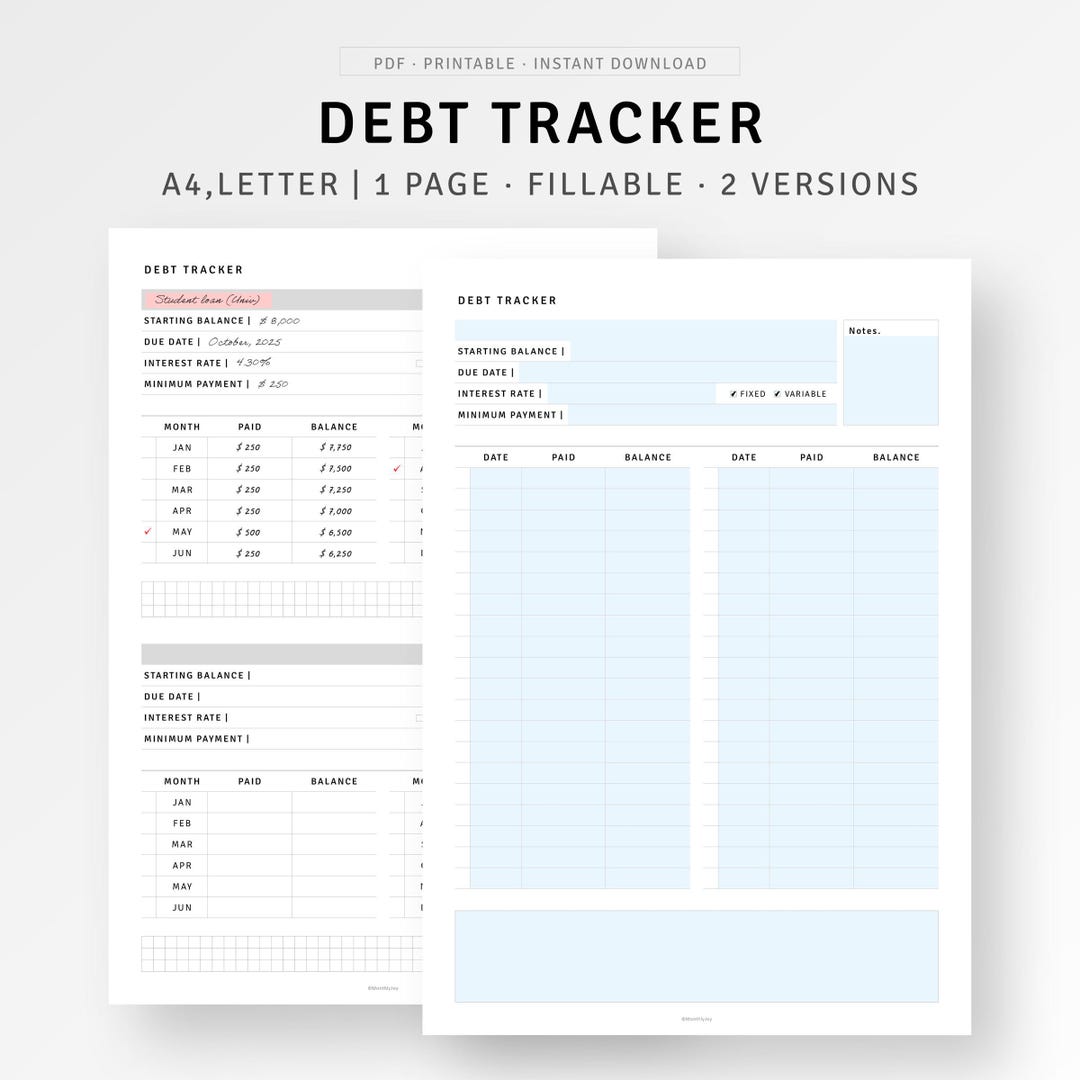 Debt Tracker A4/letter Printable Fillable Inserts, Student Loan ...