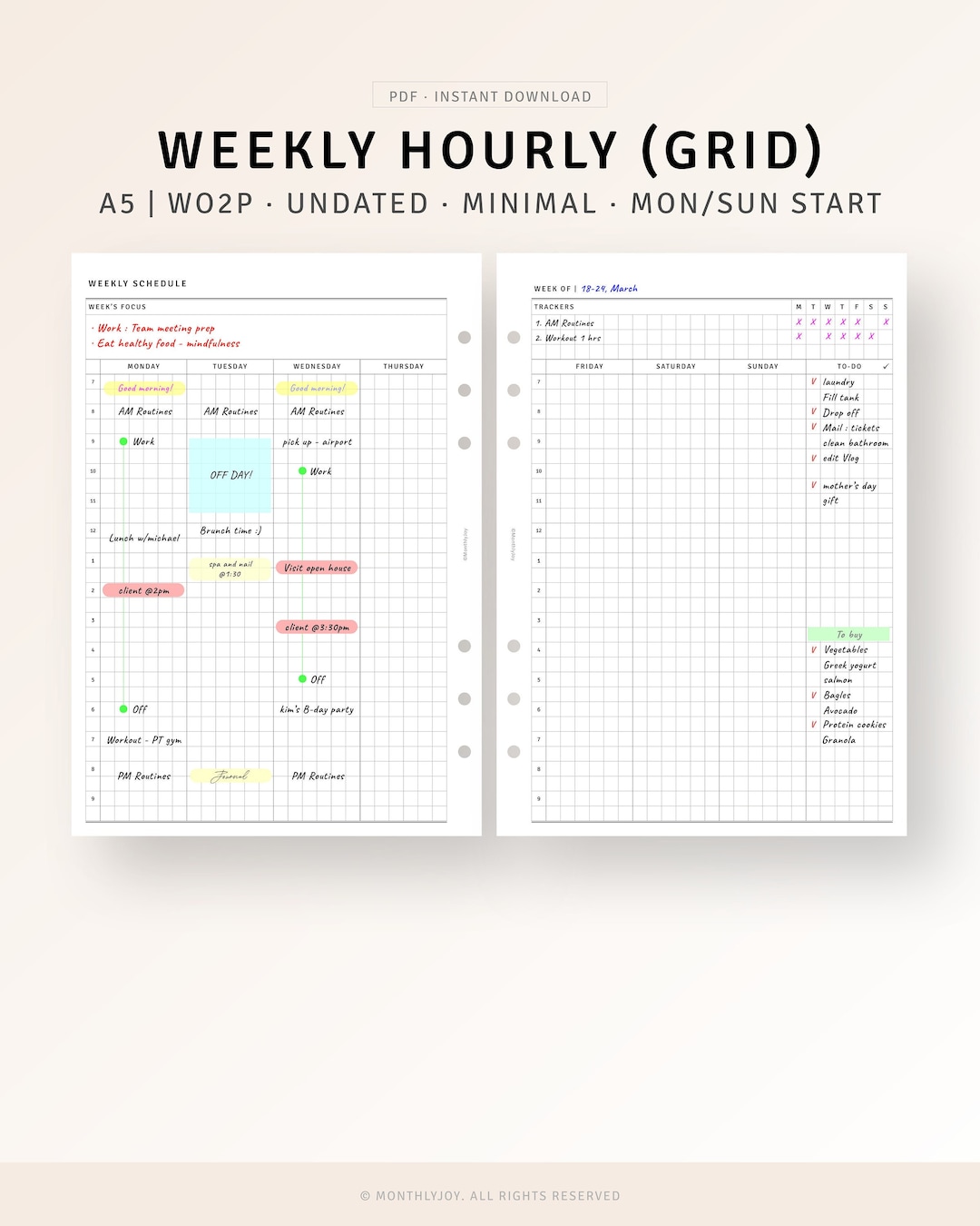 Weekly Hourly Planner Printable A5 Inserts Week on Two Pages - Etsy