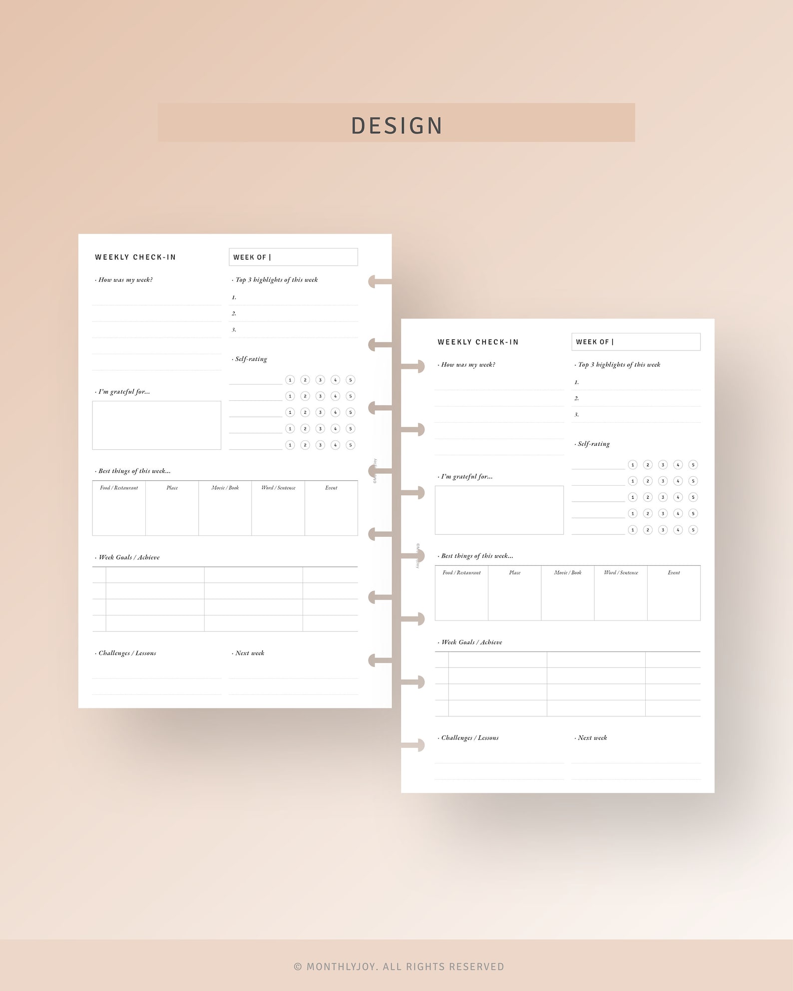 Weekly Reflection Journal Printable HP Mini Inserts, Weekly Review ...
