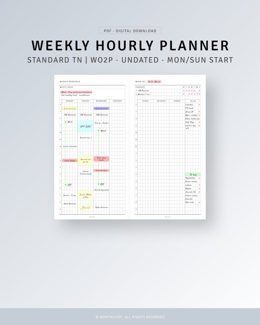 TN STANDARD Weekly Schedule Organizer Printable Undated Daily Hourly ...