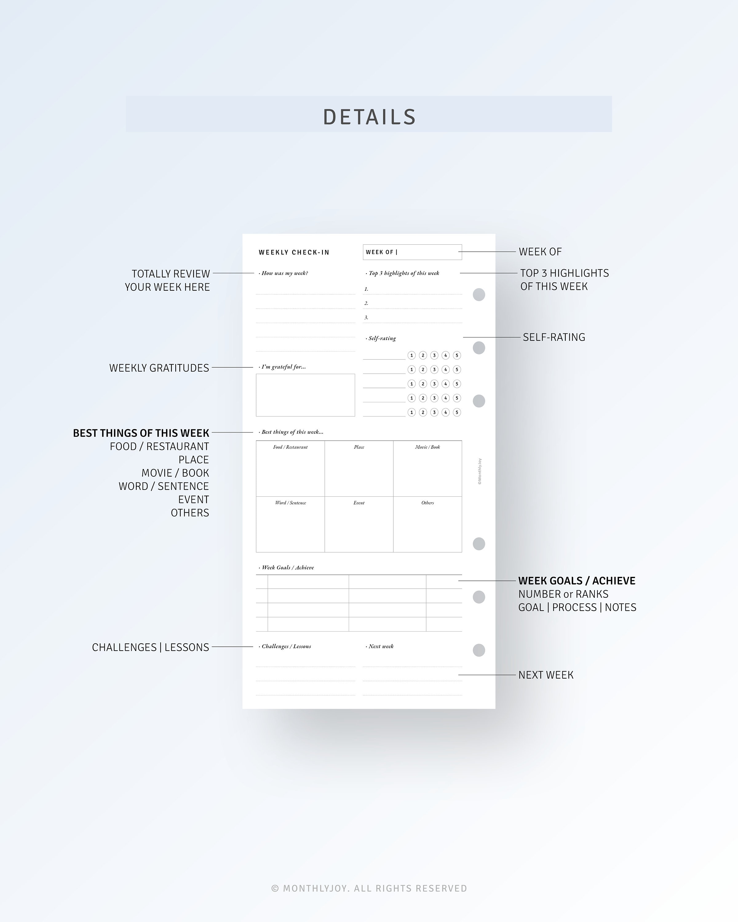 Week in Review Printable Personal Inserts, Weekly Reflection Journal ...