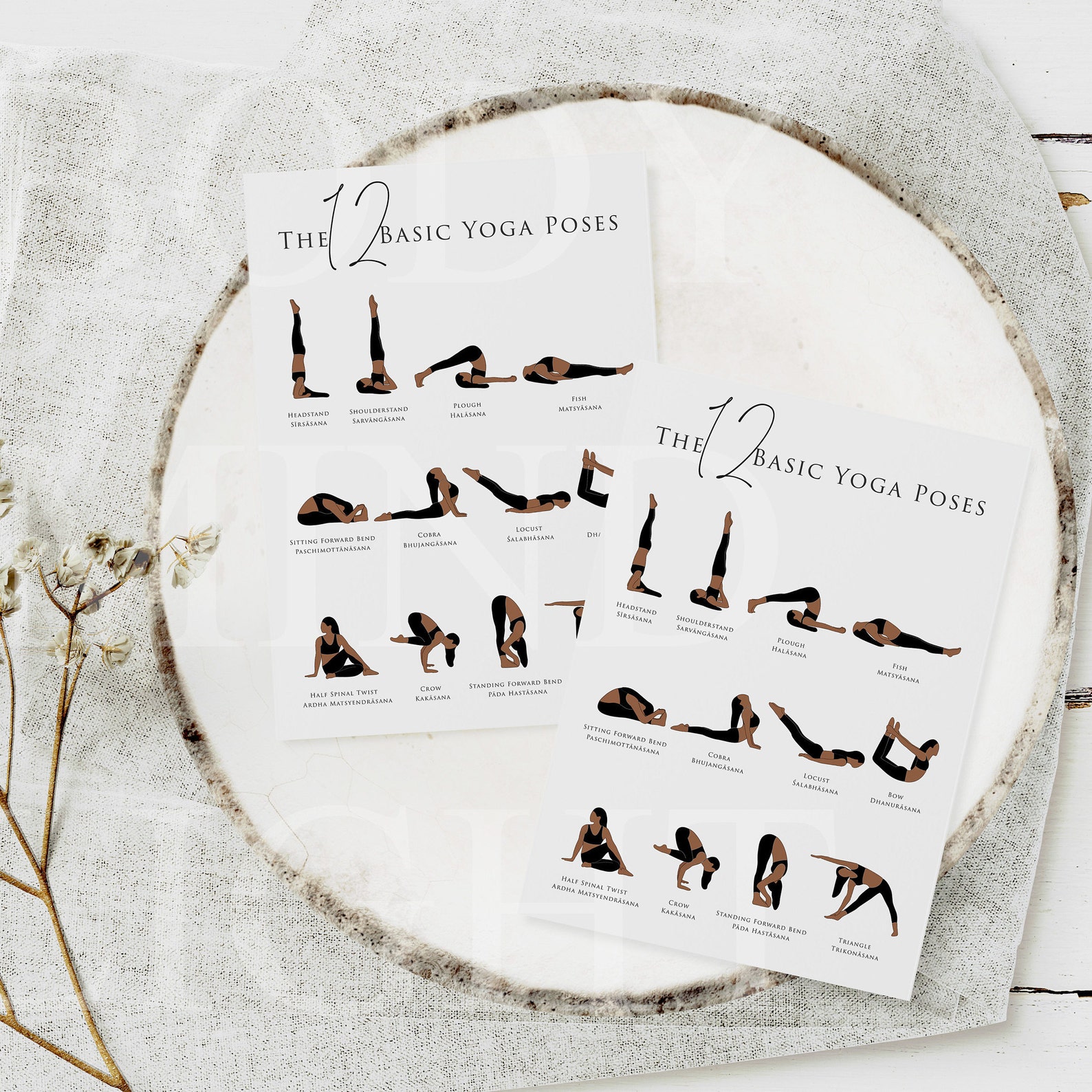 The 12 Basic Yoga Poses in English & Sanskrit With Illustrations | Yoga ...