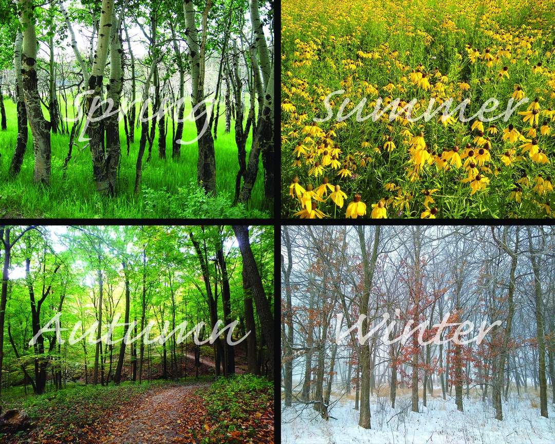 Four Seasons / Landscapes / Home Decor / Photo Framed / Wall Art ...