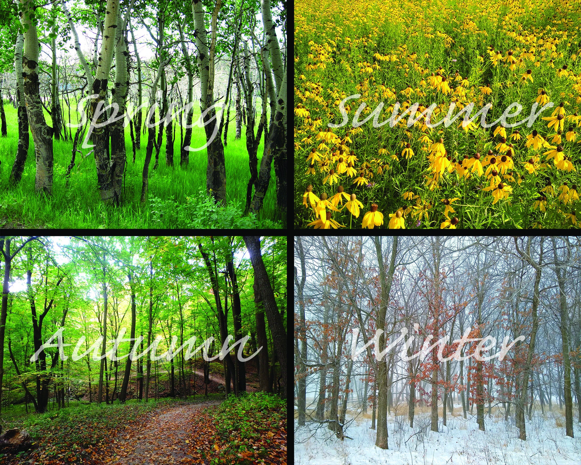 Four Seasons / Landscapes / Home Decor / Photo Framed / Wall Art ...