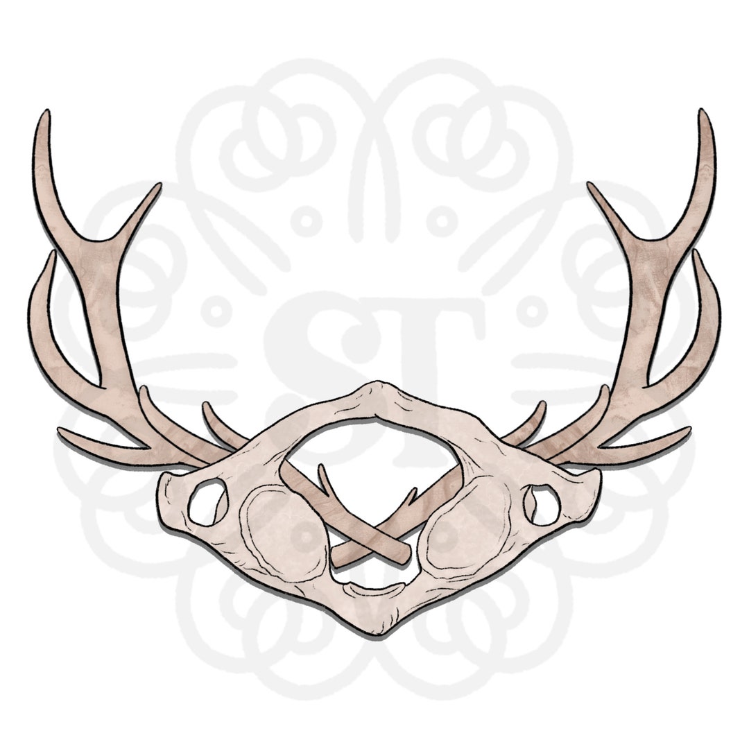 Atlas Bone With Antlers Image ; Chiropractic Graphic Design ...