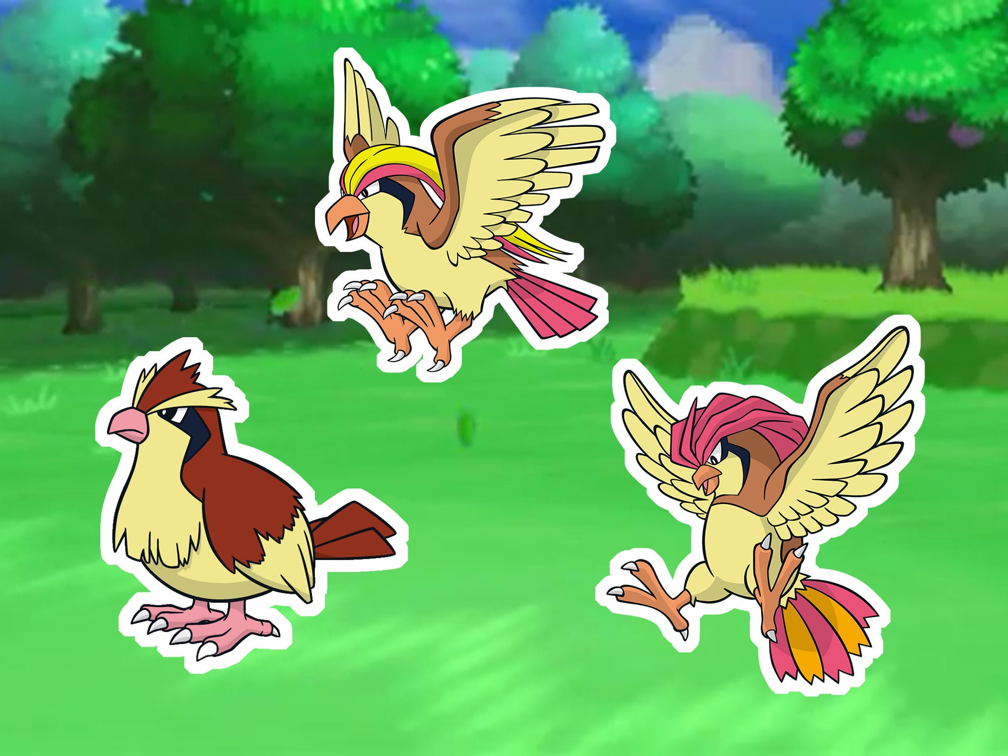 Pokemon Pidgey Evolution