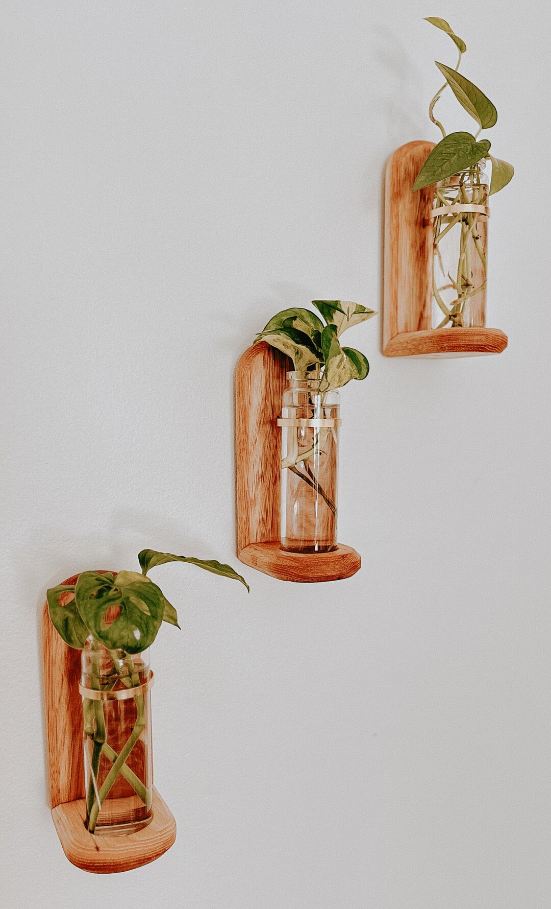 Wall Mounted Propagation Set Propagation Station - Etsy