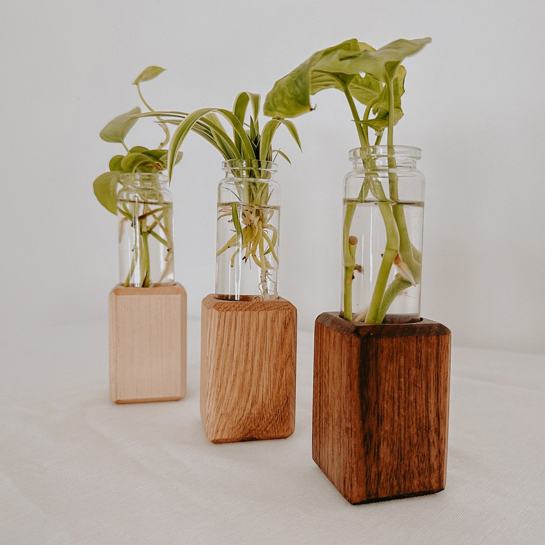 Single Vial Propagation Set Propagation Station Hydroponic - Etsy