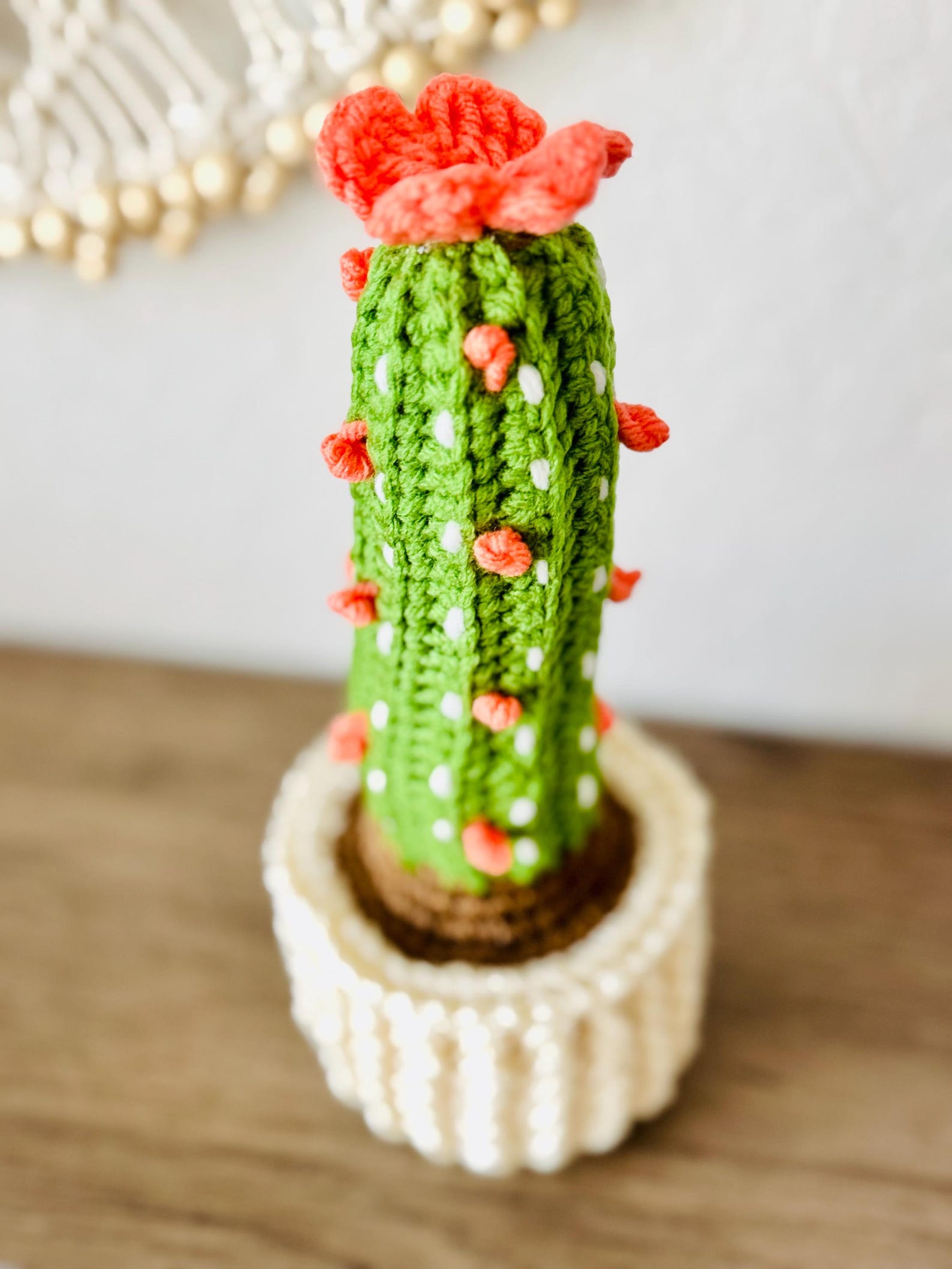 Crochet Cactus Pot, Handmade Potted Plant Decor - Etsy