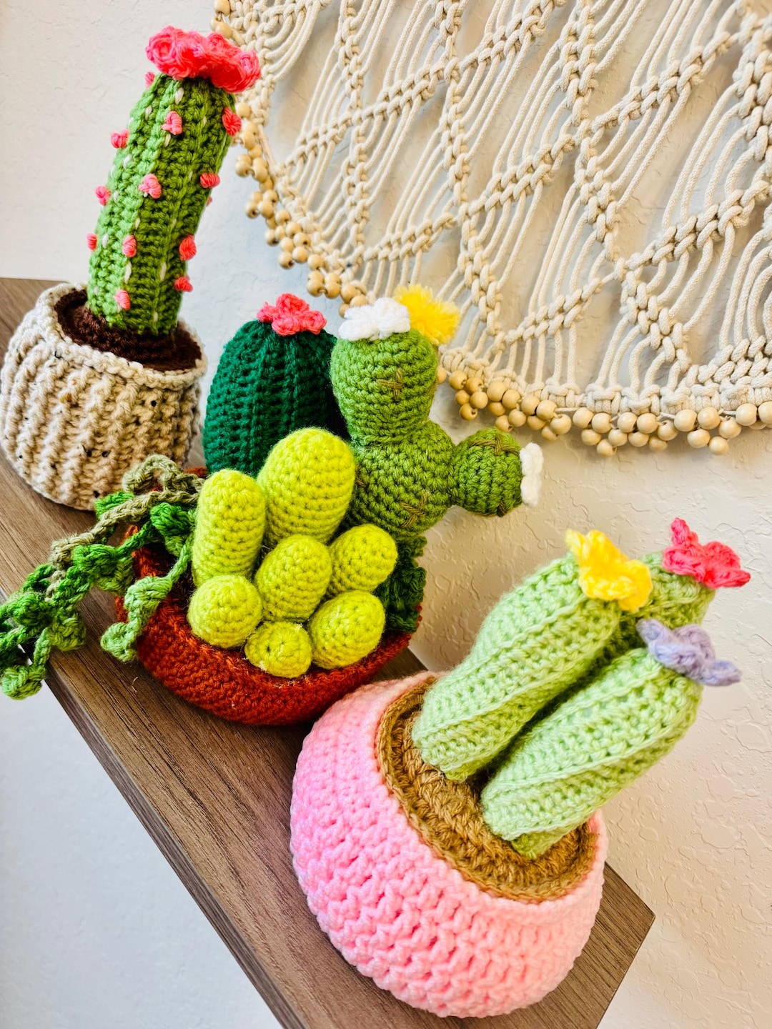 Crochet Cactus Pot, Handmade Potted Plant Decor - Etsy
