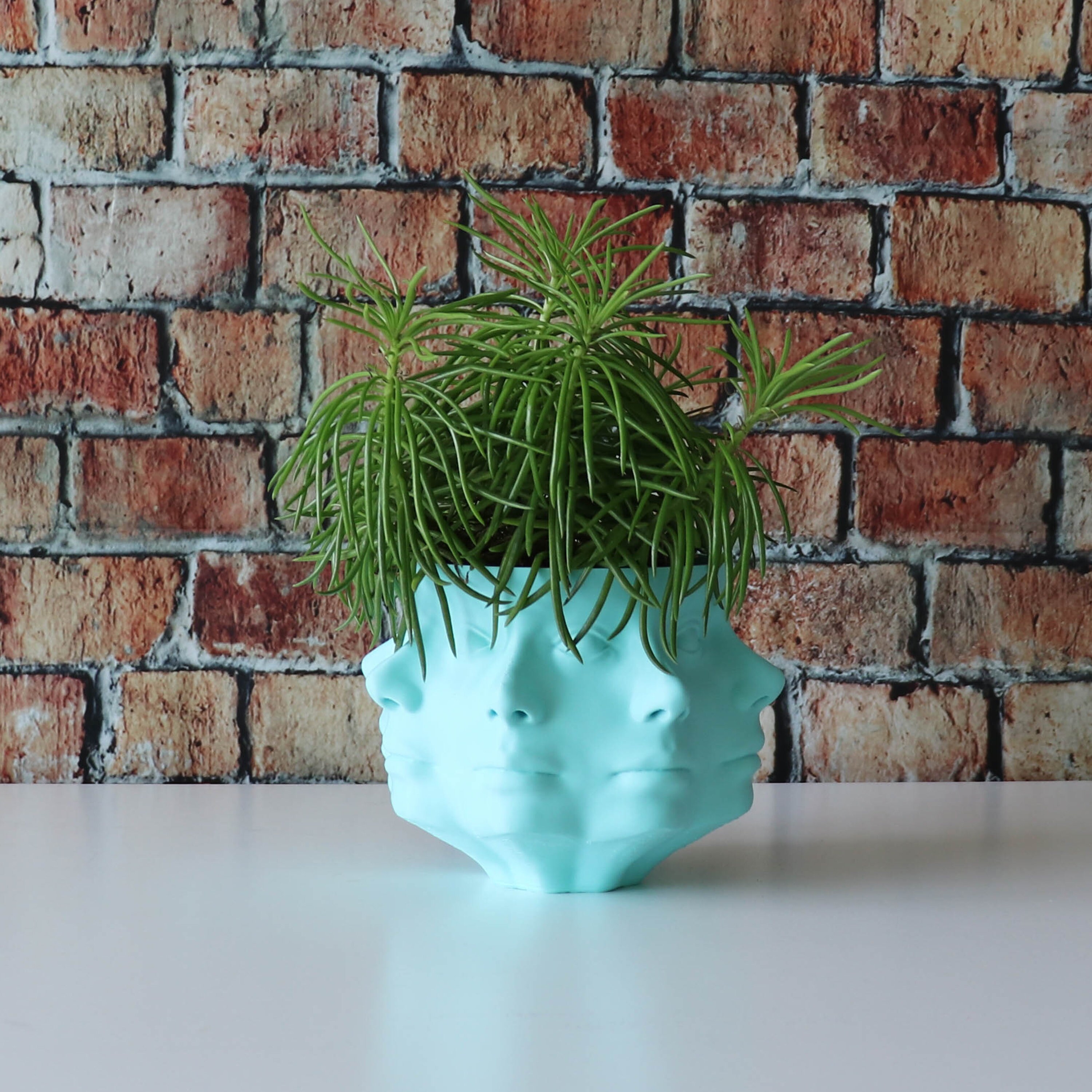 3D Printed Face Vase Planter Face Pot Multi Face Vase Goth Planter Face ...