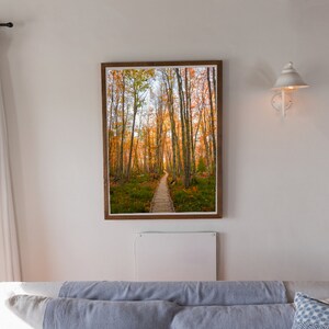 Jessup Trail Photography, Printable Photos, Nature Photography, Digital ...