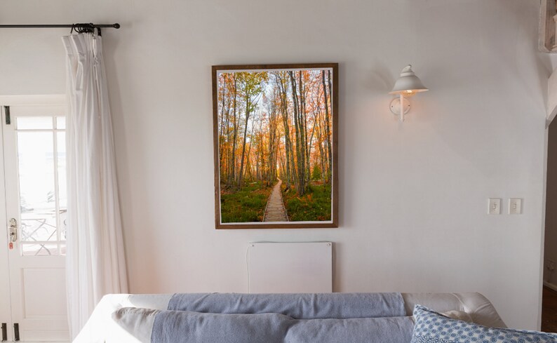 Jessup Trail Photography, Printable Photos, Nature Photography, Digital ...