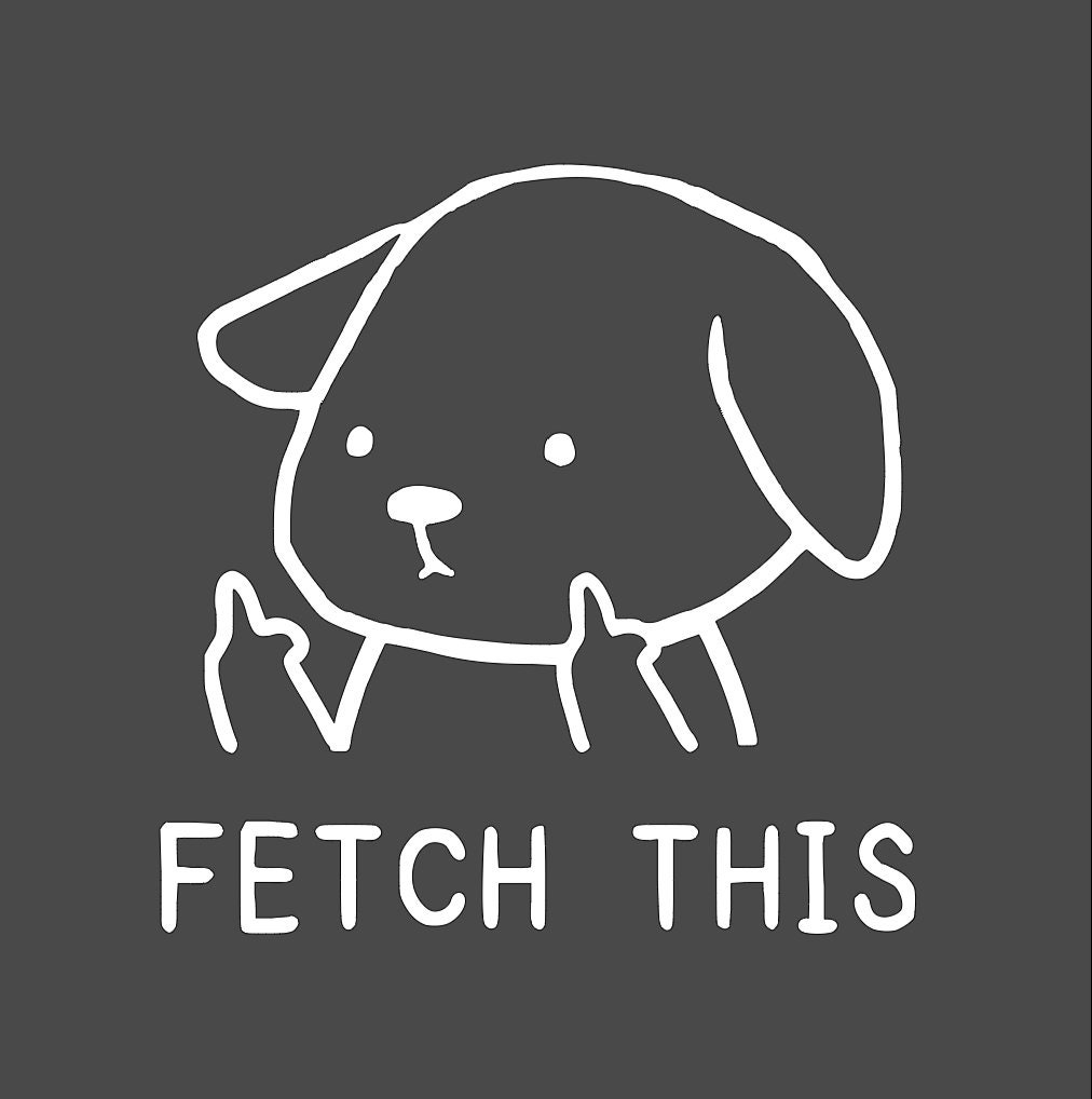 Fetch This Window Decal, Car Decal, Vinyl Sticker, Dog Mom, Dog Dad ...