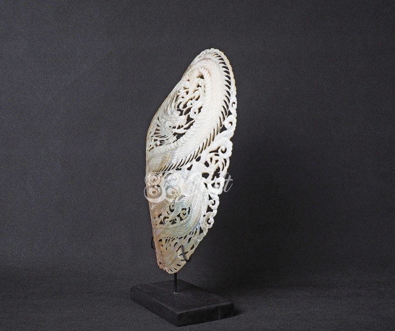 Natural Mussels Clam Shell Carving Dragon Model on Stand Large - Etsy