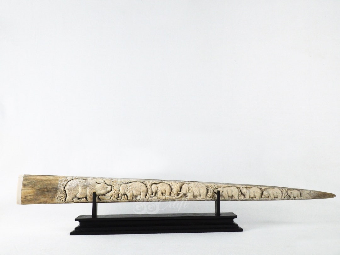 Swordfish Bill Medium Real Marlin Bone Carved Bear Elephant Model ...