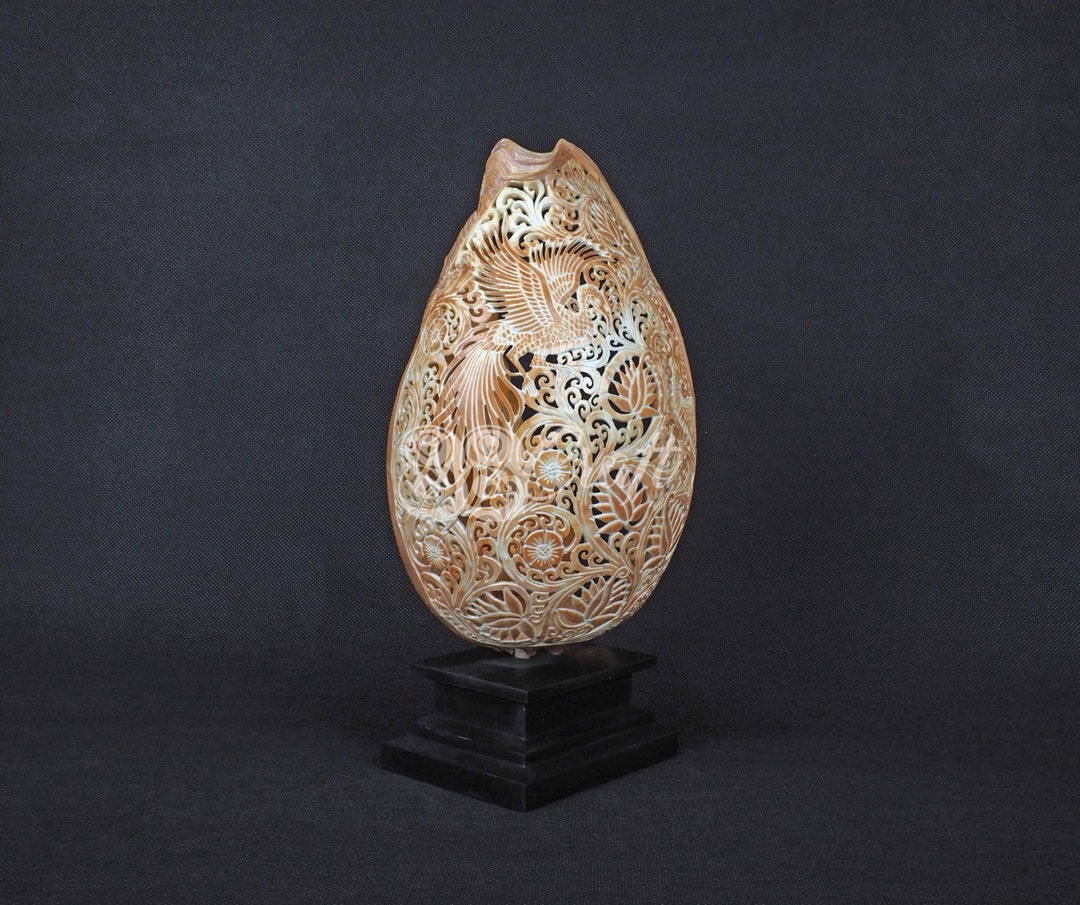 Natural Balinese Phoenix Carving Volute Shell Hand Carved - Etsy