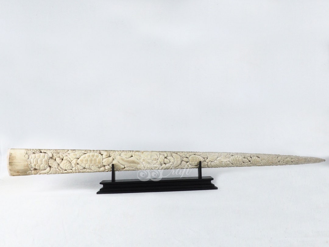 Swordfish Bill Real Marlin Bone Carved Double Big Turtle Model Engraved ...