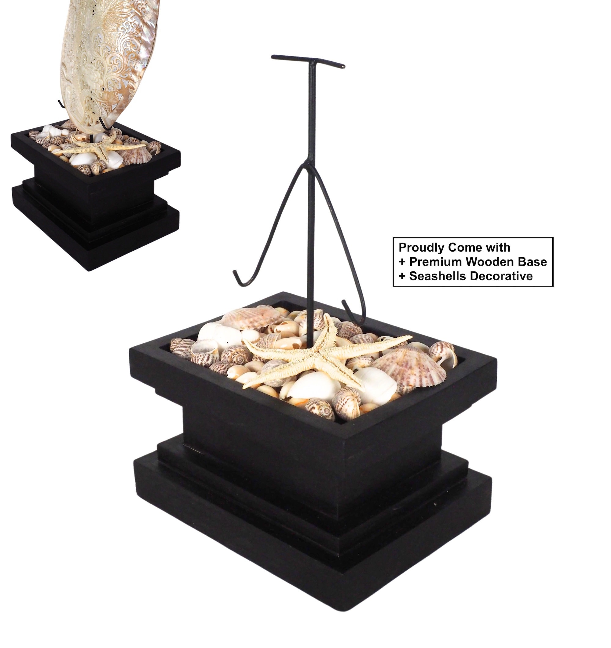 Natural Mussels Clam Shell Carving Dragon Model on Stand Large Size ...